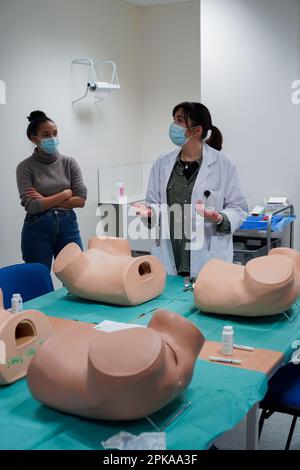 Professor Gynecologist and his students during a course in gynecology ...