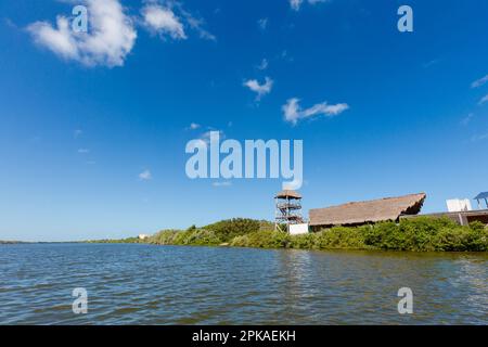 Beautiful El Corchito Ecological Reserve in Progreso, Mexico during ...