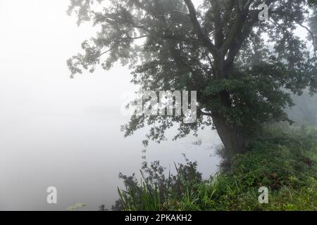 Europe, Poland, Lesser Poland, fish ponds near Zator Stock Photo - Alamy