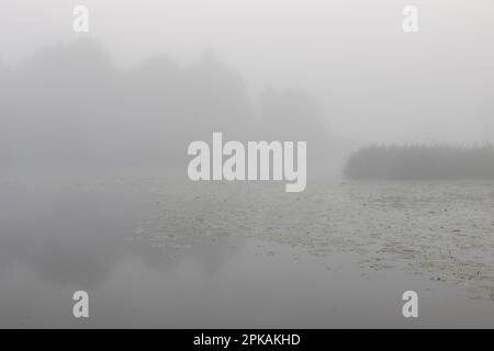 Europe, Poland, Lesser Poland, fish ponds near Zator Stock Photo - Alamy