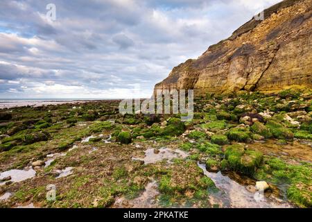Evening atmosphere on the coast near Elgol, Cullin Mountains, Isle of ...