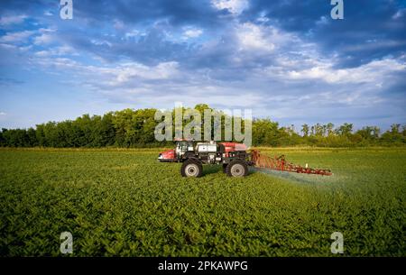 Sprayer CASE 3330 spraying pesticides on chickpea field. Field ...