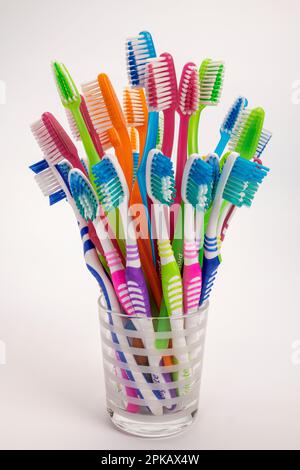 Many different color toothbrushes in toothbrush cup, symbol image ...