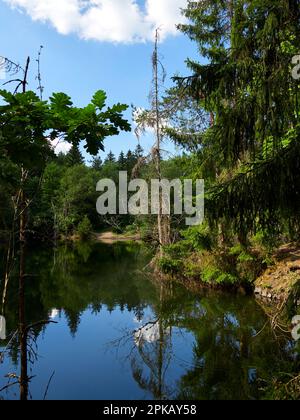 The Silver Lake at the Rother Kuppe, Rhön Biosphere Reserve, Lower ...