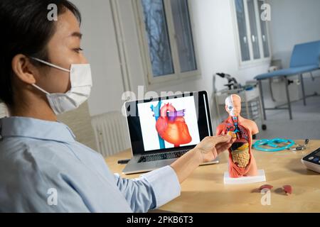 Asian female doctor teaching human anatomy using organ model laptop ...
