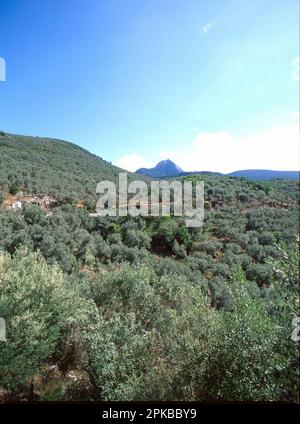Greece island lesbos mountain Olympos landscape flower meadow Europe ...