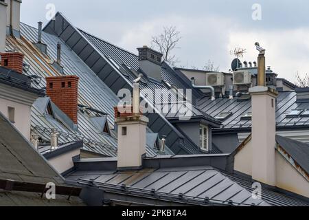 Roofs of tenement houses covered with sheet metal, gray metal roof ...