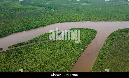 Wetlands with mangroves and swamps. Menumbok forest reserve. Borneo ...