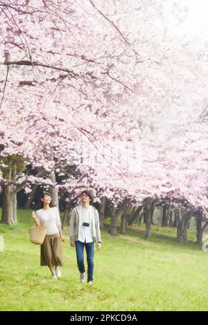Japanese picnic under cherry blossoms in Yoyogi Park at Hanami Fest, Shibuya District, Shibuya ...