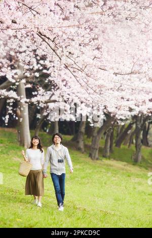 Couple walking under the cherry tree Stock Photo - Alamy