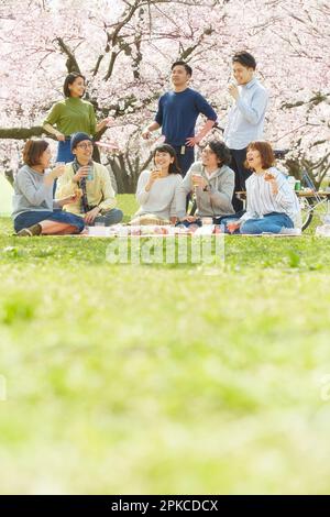 Eight men and eight women viewing cherry blossoms Stock Photo - Alamy