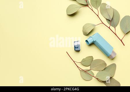 Asthma inhaler with eucalyptus branches on green background Stock Photo ...