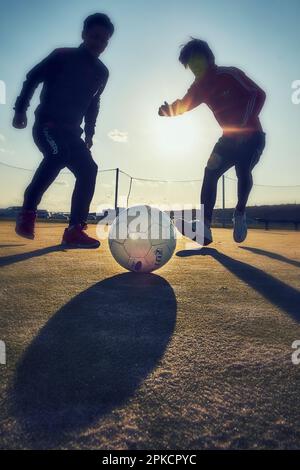 Two soccer players chase the ball at the stadium Stock Photo - Alamy
