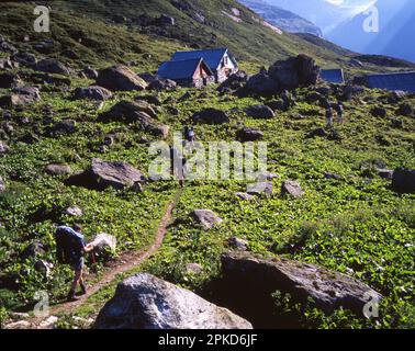 AUT, Austria: The versatility of the Alpine mountains inspires not only ...