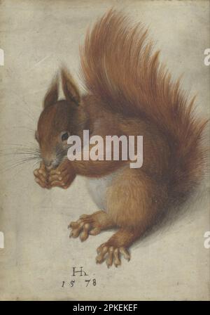This painting, 'Red Squirrel' by Hans Hoffmann, created in 1578 ...