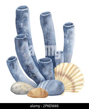 Seabed with Coral reefs, seaweeds and stones. Hand drawn watercolor ...