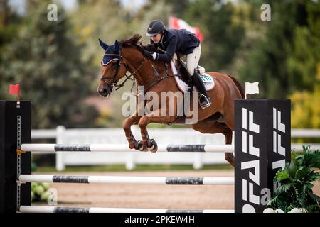 Sara Tindale of Canada competes at Major League Show Jumping event in ...