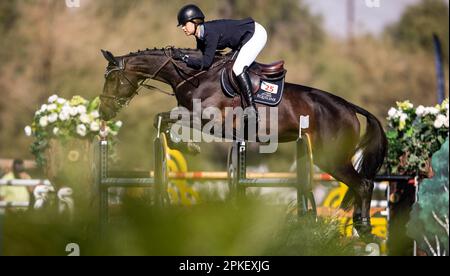 International show jumping in California Stock Photo - Alamy