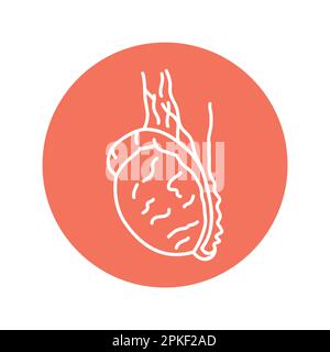Ovary color line icon. Endocrine system. Pictogram for web page, mobile ...
