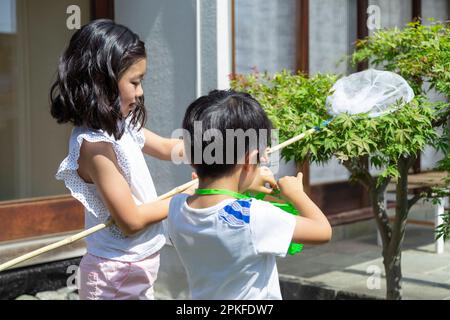 Sister and brother catching insects Stock Photo - Alamy
