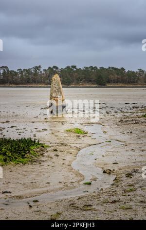 The Menhir de Penglaouic at low tide on the Pont l'Abbe river estuary ...