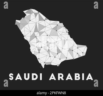 Network map of Saudi Arabia. Country digital connections map ...