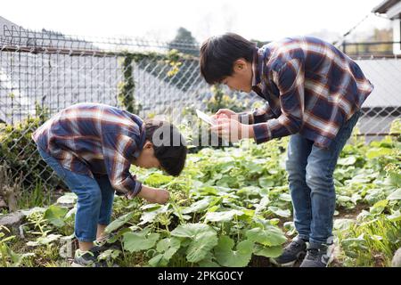 Brothers observing plants in the garden and taking pictures with their ...