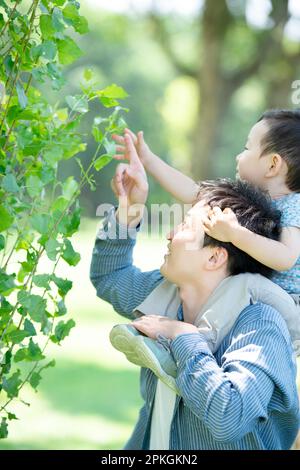 Parent and child observing a plant with a stroller Stock Photo - Alamy