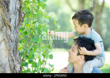 Parent and child observing a plant with a stroller Stock Photo - Alamy