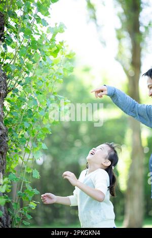 Parent and child observing a plant Stock Photo - Alamy