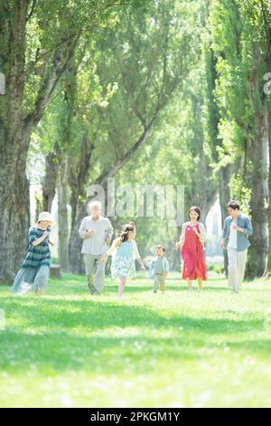A family of three generations running alongside poplar trees Stock ...