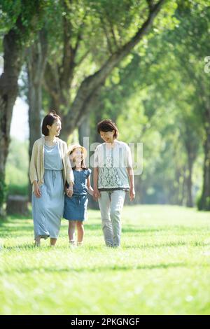 A family of three generations chatting among the poplar trees Stock ...