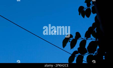 The moon is photographed just before nightfall Stock Photo - Alamy