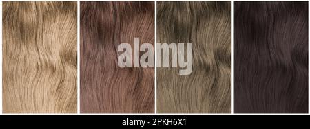 Collage with multicolored hair samples, banner design. Color palette ...