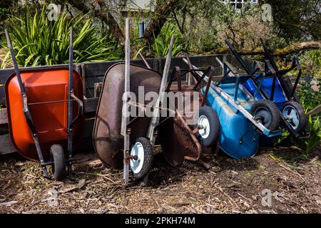 Blue, red and rusted wheelbarrows upright and angled photo in an urban ...
