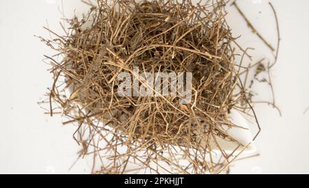 Dried Skunk vine/Ayurvedic Plants isolated on white background ...