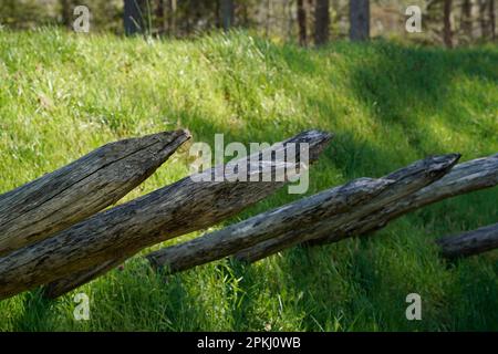 Defense line of camp site of American Revolution british soldier ...
