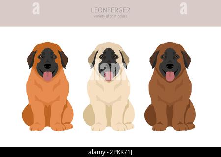 Leonberger clipart. Different poses, coat colors set. Vector ...