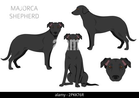 Majorca Shepherd dog clipart. All coat colors set. All dog breeds ...