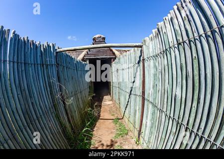 Wildlife bush narrow walking path with high wood pole fencing for lion ...