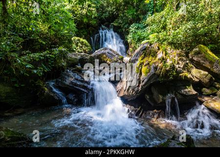 Couto waterfall, Atlantic Forest South-East Reserves, UNESCO World ...