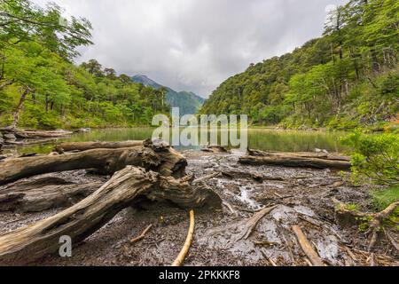 El Toro Lake, Huerquehue National Park, Pucon, Chile, South America ...