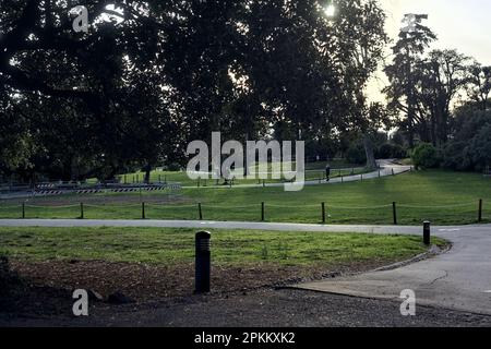 Path with intersecting paths at sunset framed by branches Stock Photo ...