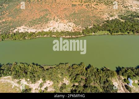 View of the Vaal river and riverine vegetation in the Northern Cape ...