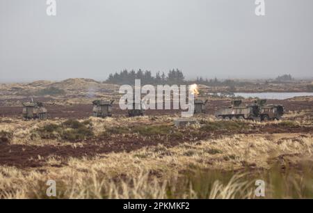 Danish soldiers assigned to the 1st Artillery Battalion conduct live ...