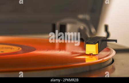 It makes a melody sound as it hovers over the needle of an orange long ...