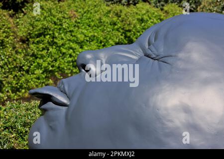Drops of Rain (large faces depicting various human emotions) by Spanish ...