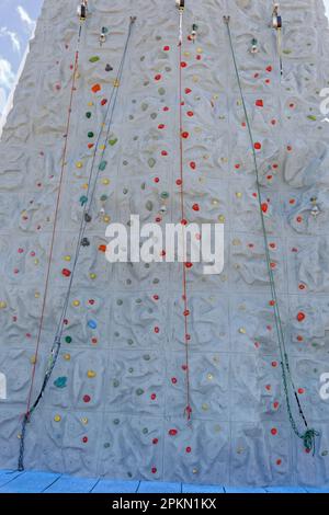 MIAMI, FLORIDA - January 29, 2023: Royal Caribbean operate over 25 ...