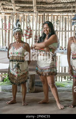 Ticuna women of Colombia reenact traditional dancing and music Stock ...