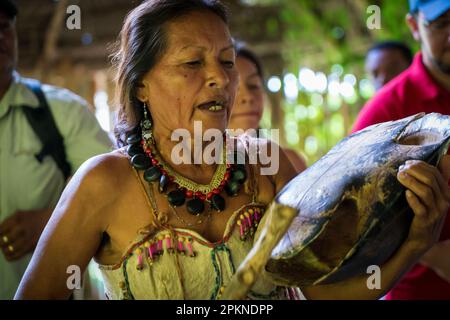 Ticuna women of Colombia reenact traditional dancing and music Stock ...